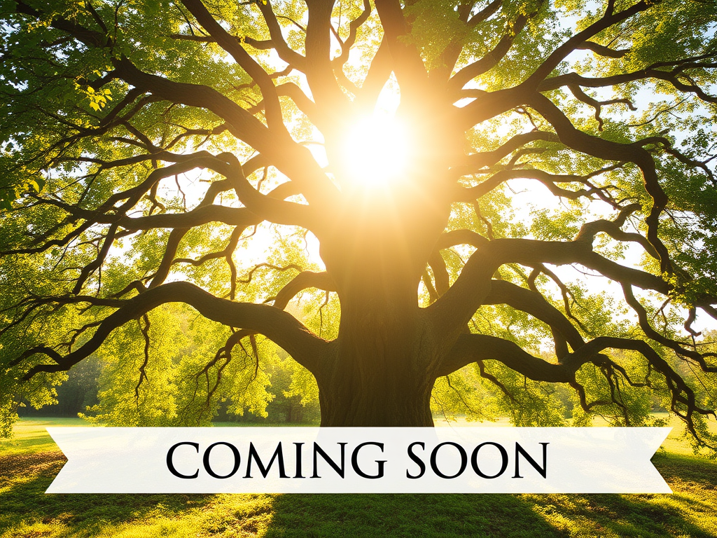 Book Release Dates – Owl Mountain Press